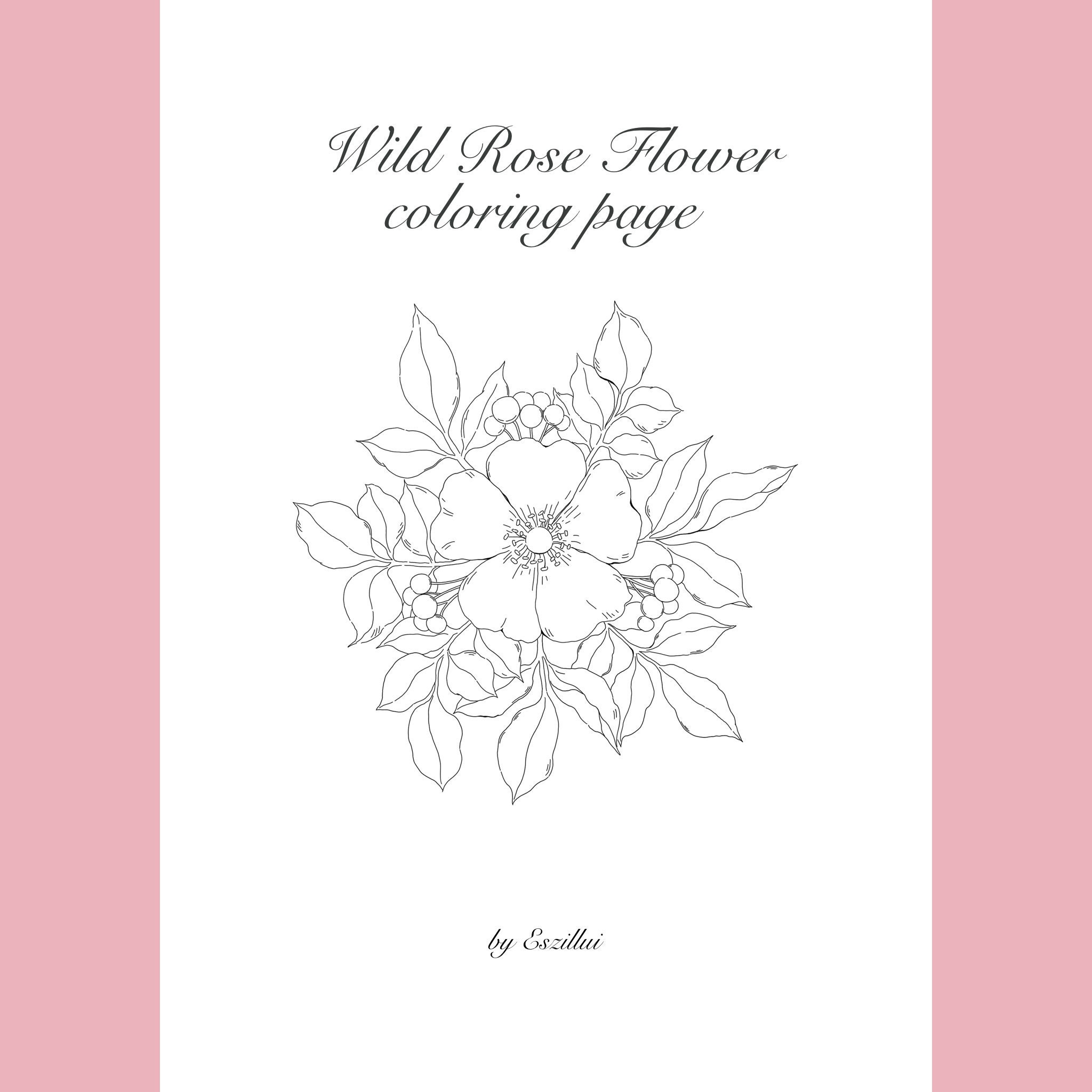 WILD ROSE FLOWER Adult Coloring Page Hand Drawn Digital Download - Etsy