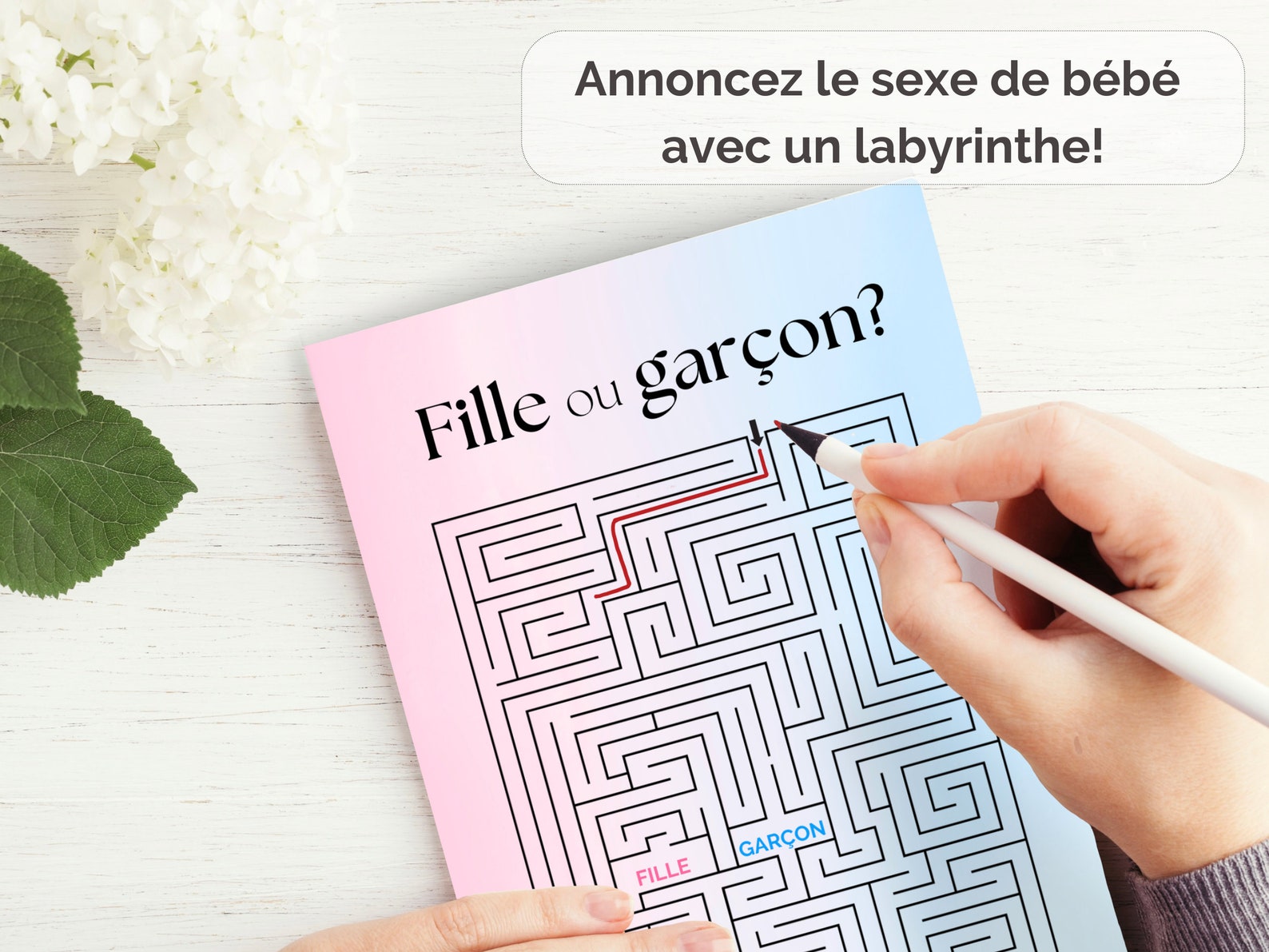 Gender Reveal Maze in French: Baby Shower Game, Girl or Boy (PDF) - Etsy