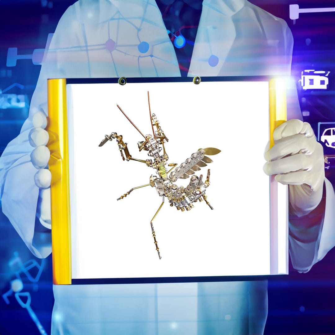 3D Metal Mechanical Model Kit DIY Assembly Fly Steampunk Insect Puzzle ...