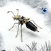 Steampunk Mechanical Mecha Insect Ant Metal Bug Sculpture Handmade ...