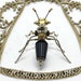 Steampunk Mechanical Mecha Insect Ant Metal Bug Sculpture Handmade ...