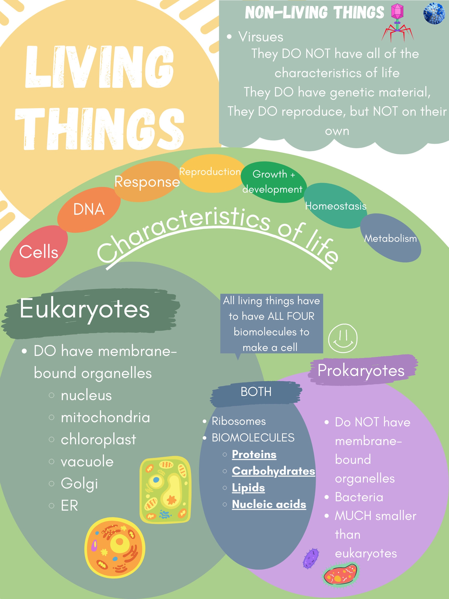 Biology Living Things Concept Map - Etsy