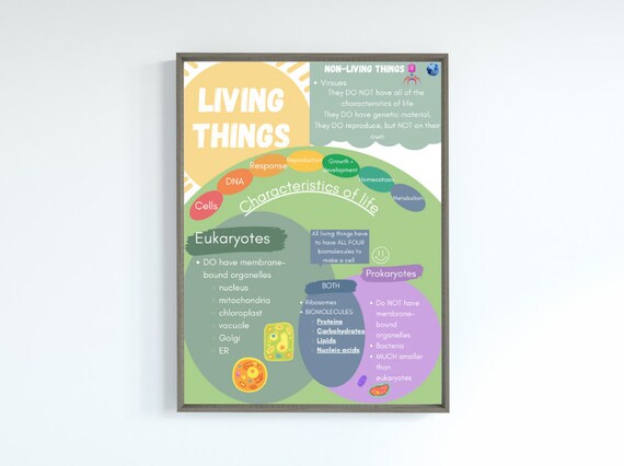 Biology Living Things Concept Map - Etsy