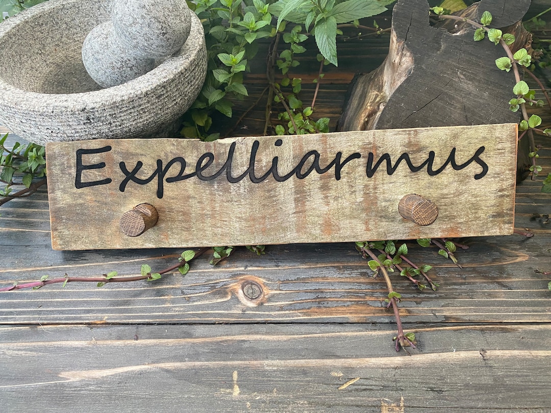 Expelliarmus Wall Mounted Wand Display - Etsy