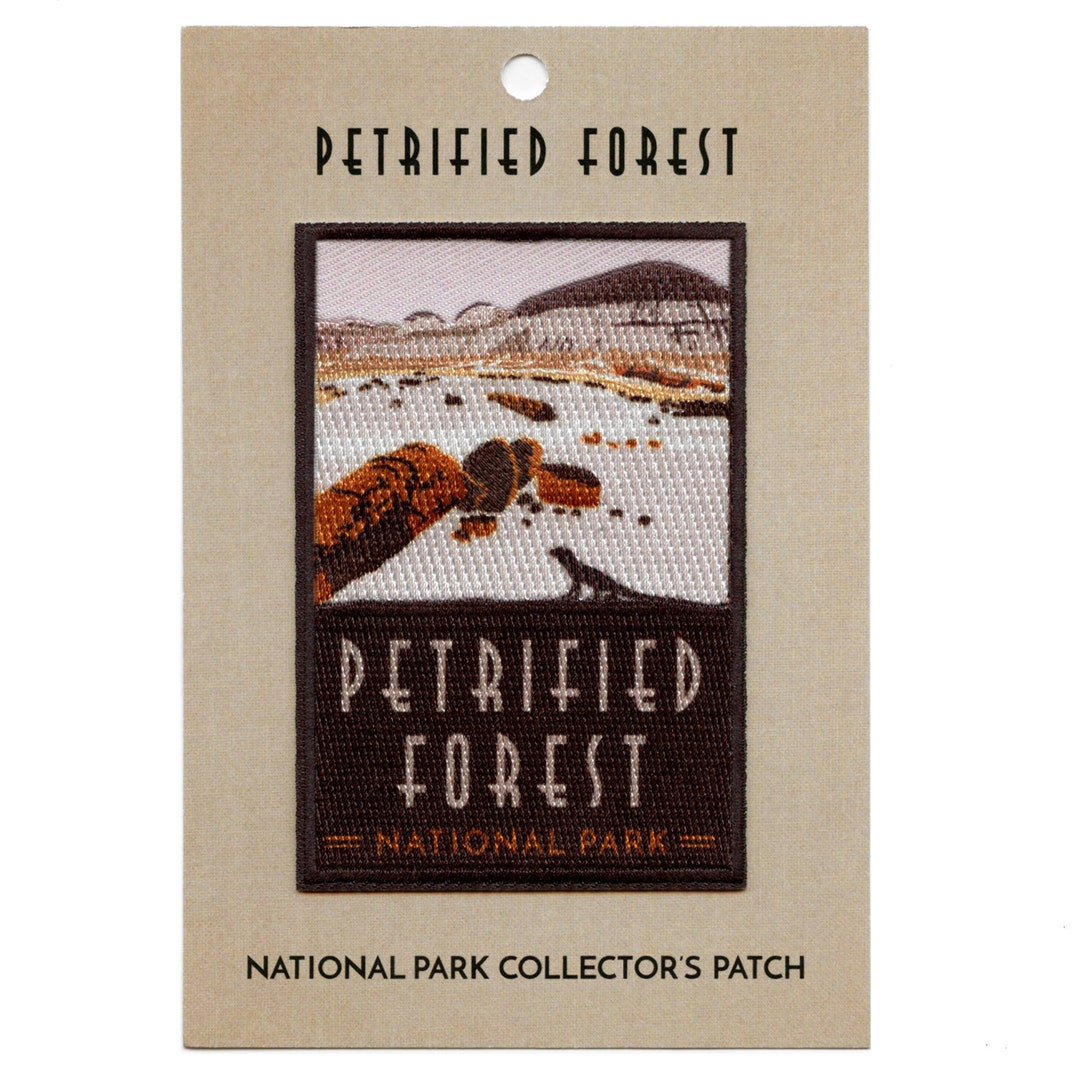 Petrified Forest National Park Patch Arizona Trailblazer Hike ...