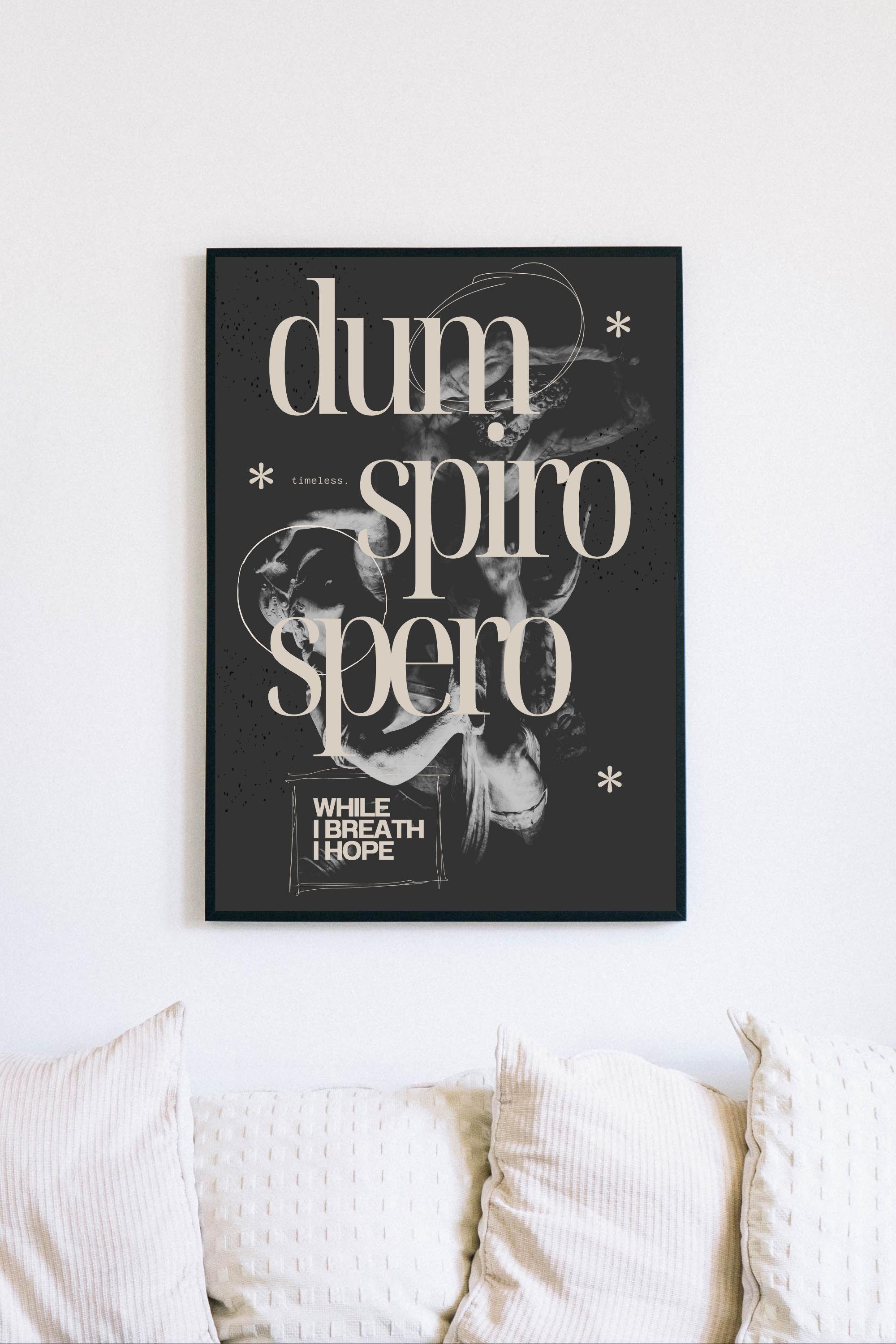 Artistic Latin Quote 'dum Spiro Spero' - 'while I Breathe, I Hope.' Art ...