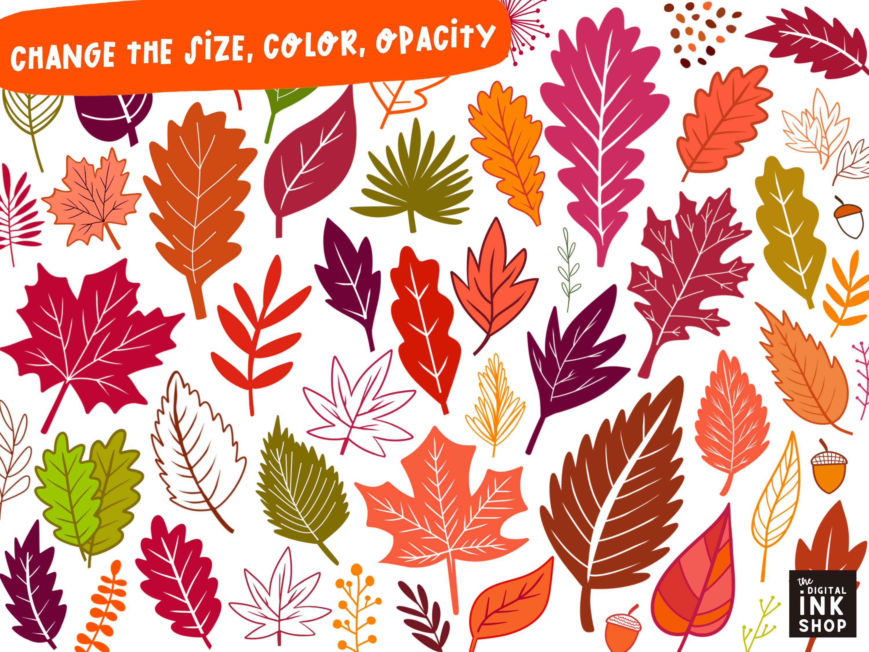 60 Procreate Stamp Set FALL Procreate Leaf Stamps Procreate Brushes ...
