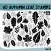 60 Procreate Stamp Set FALL Procreate Leaf Stamps Procreate Brushes ...