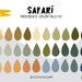Procreate Color Palette | Procreate Color Swatches | Safari Theme L ...