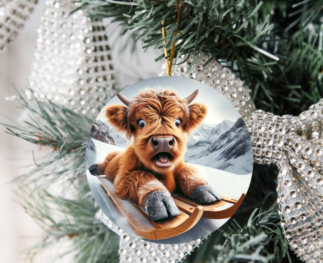 Funny Highland Cow on Sled Ornament - Etsy
