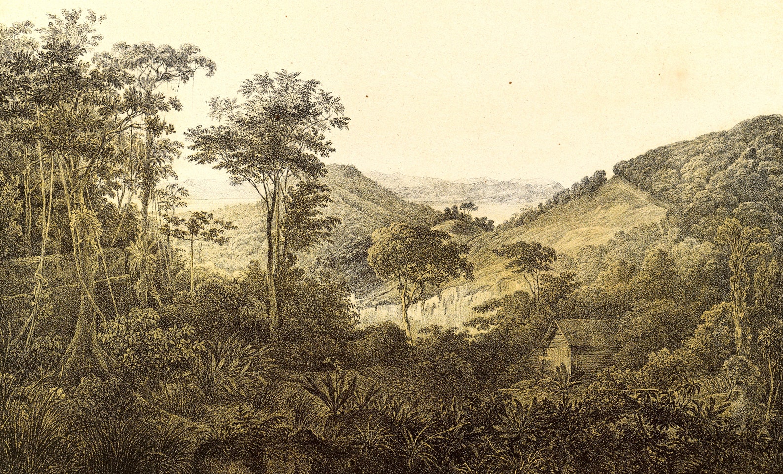 AMAZON Landscape Wallpaper Removable Wallpaper Vintage Scenic Wallpaper ...