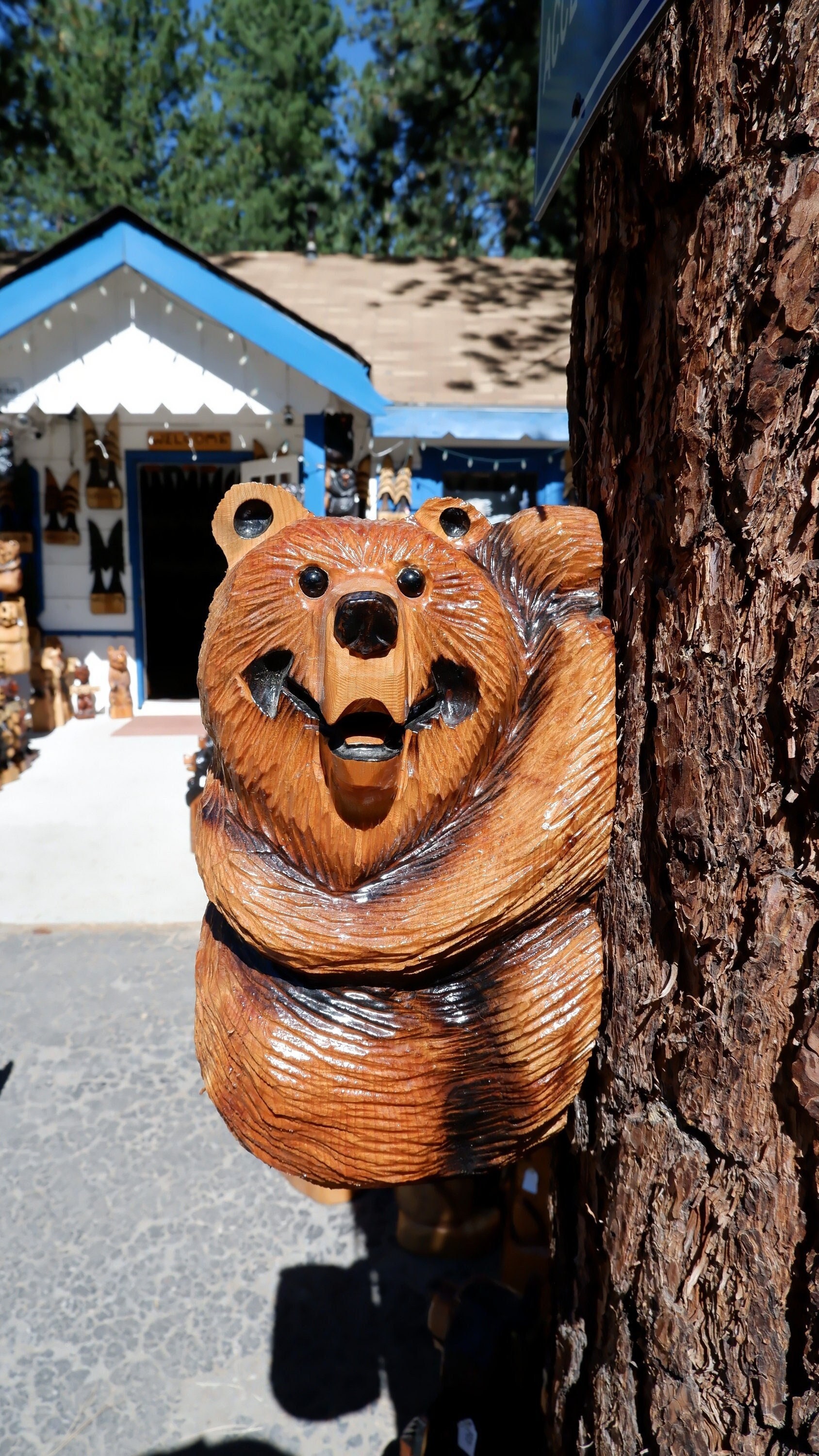 Wood Carved Climbing Bear Chainsaw Art - Etsy
