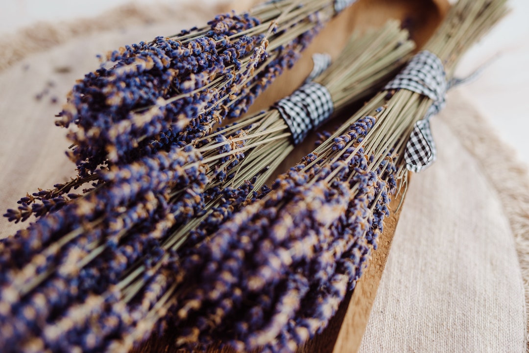 Bulk Dried Lavender Bouquets 25 Bundles - Etsy