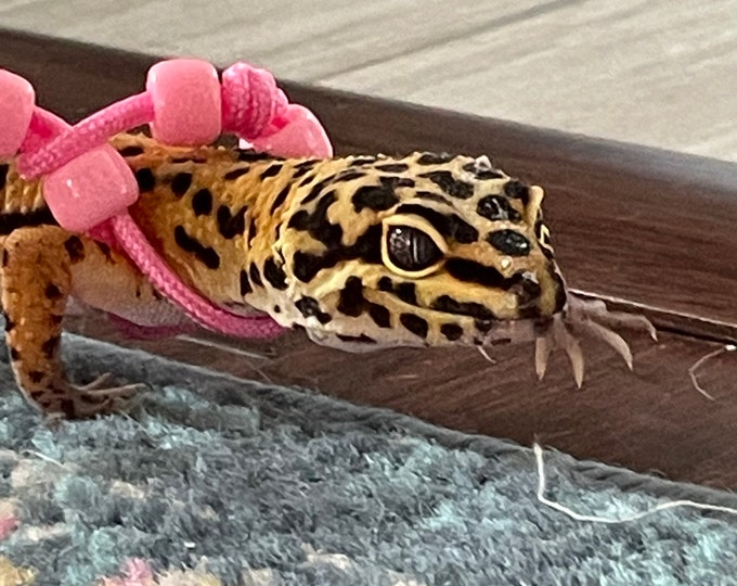 Leashyourlizard Gecko Harness Bearded Dragon Leash Leopard Gecko Leash ...