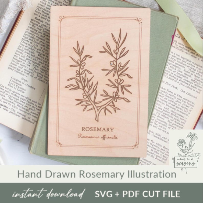 Rosemary SVG Hand Drawn Botanical Laser Cut File Wall Art Engraved Herb ...