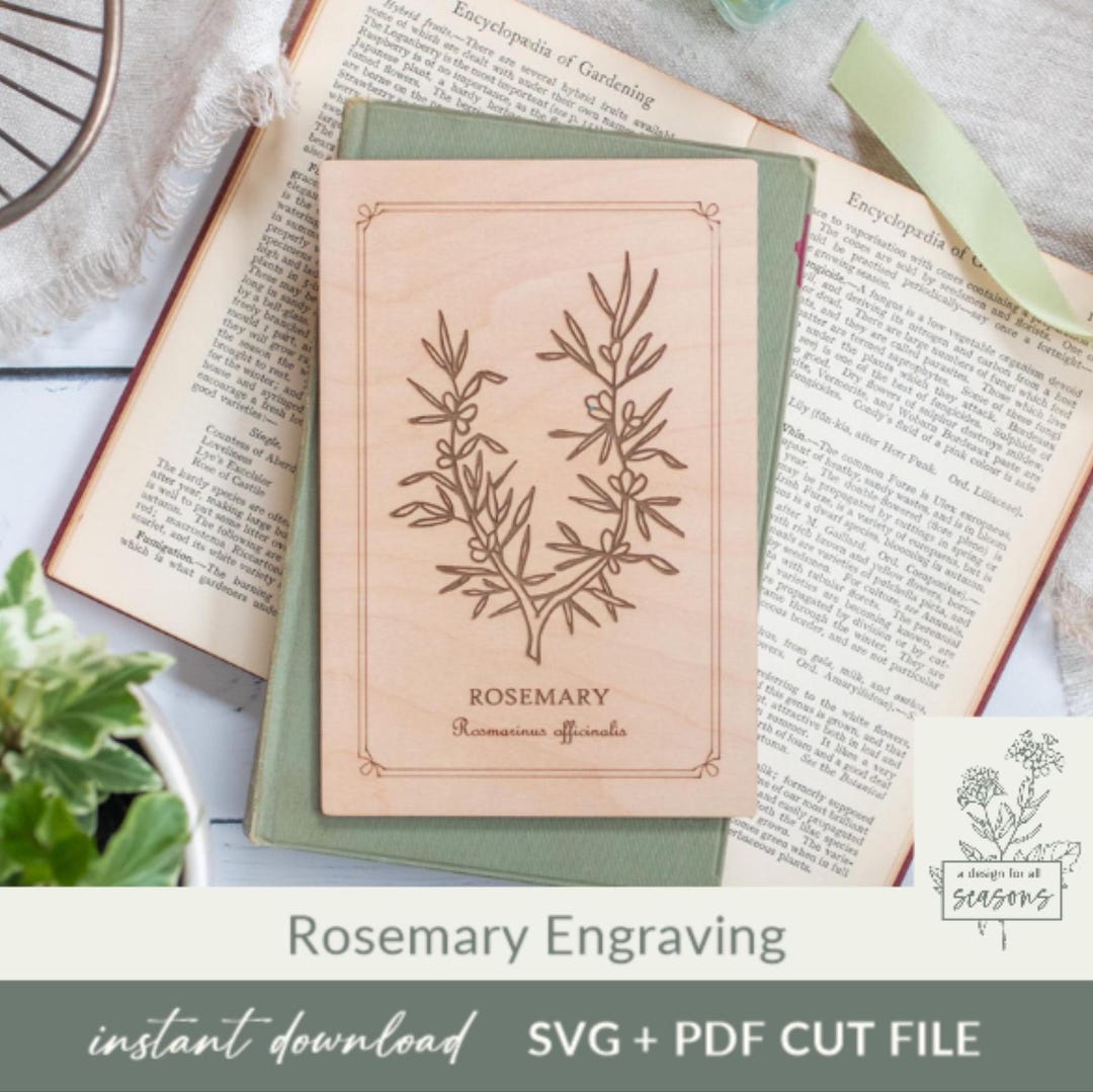Rosemary SVG Hand Drawn Botanical Laser Cut File Wall Art Engraved Herb ...