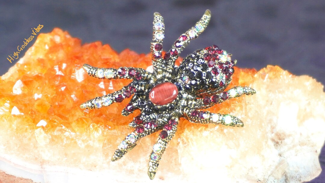 Crystal Spider Brooch and Pendant - Totem Creativity Spirit Animal ...