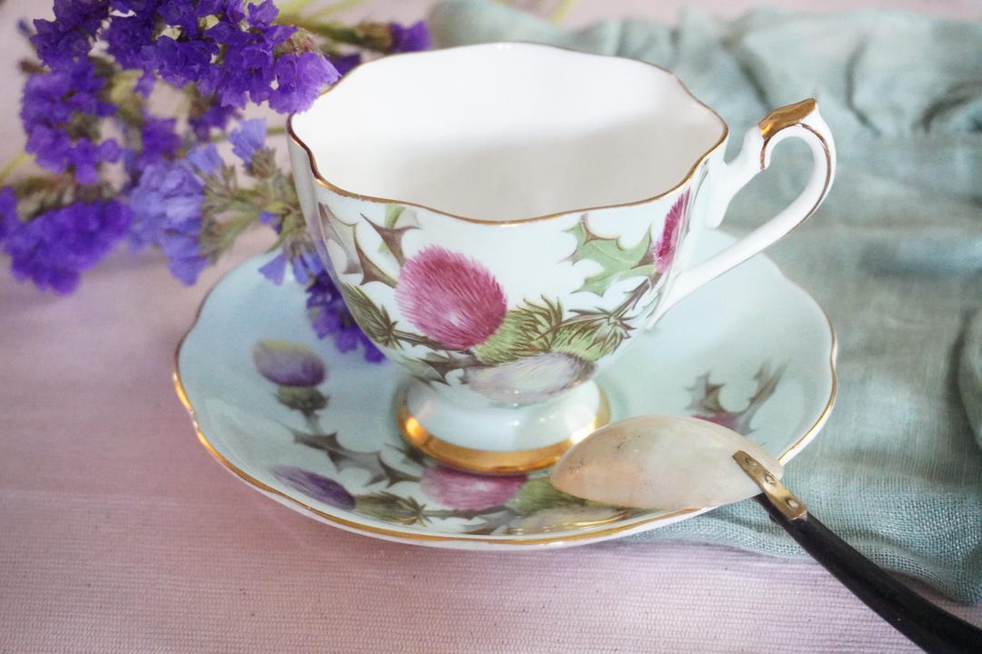Queen Anne England Dundee Thistle Teacup Bone China - Etsy