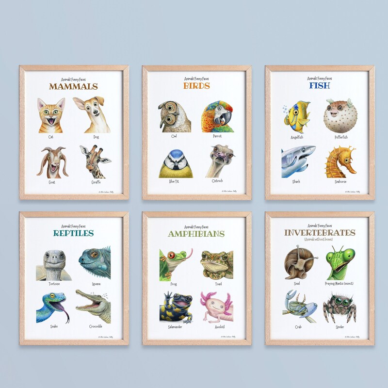 Biology Poster - Etsy