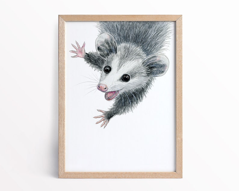 Printable Opossum Poster | Woodland Nursery Decor | Opossum Print for ...