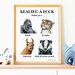 PRINTABLE Educational Posters, Science Classroom Decor Bundle, Animal ...
