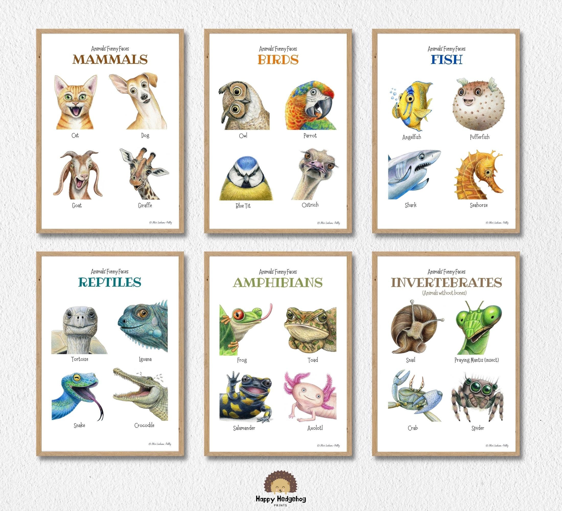 PRINTABLE Educational Posters, Science Classroom Decor Bundle, Animal ...