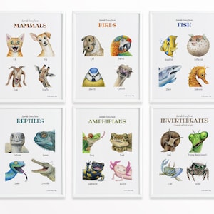 Animal Classification Prints, Biology Poster Set, Science Classroom ...