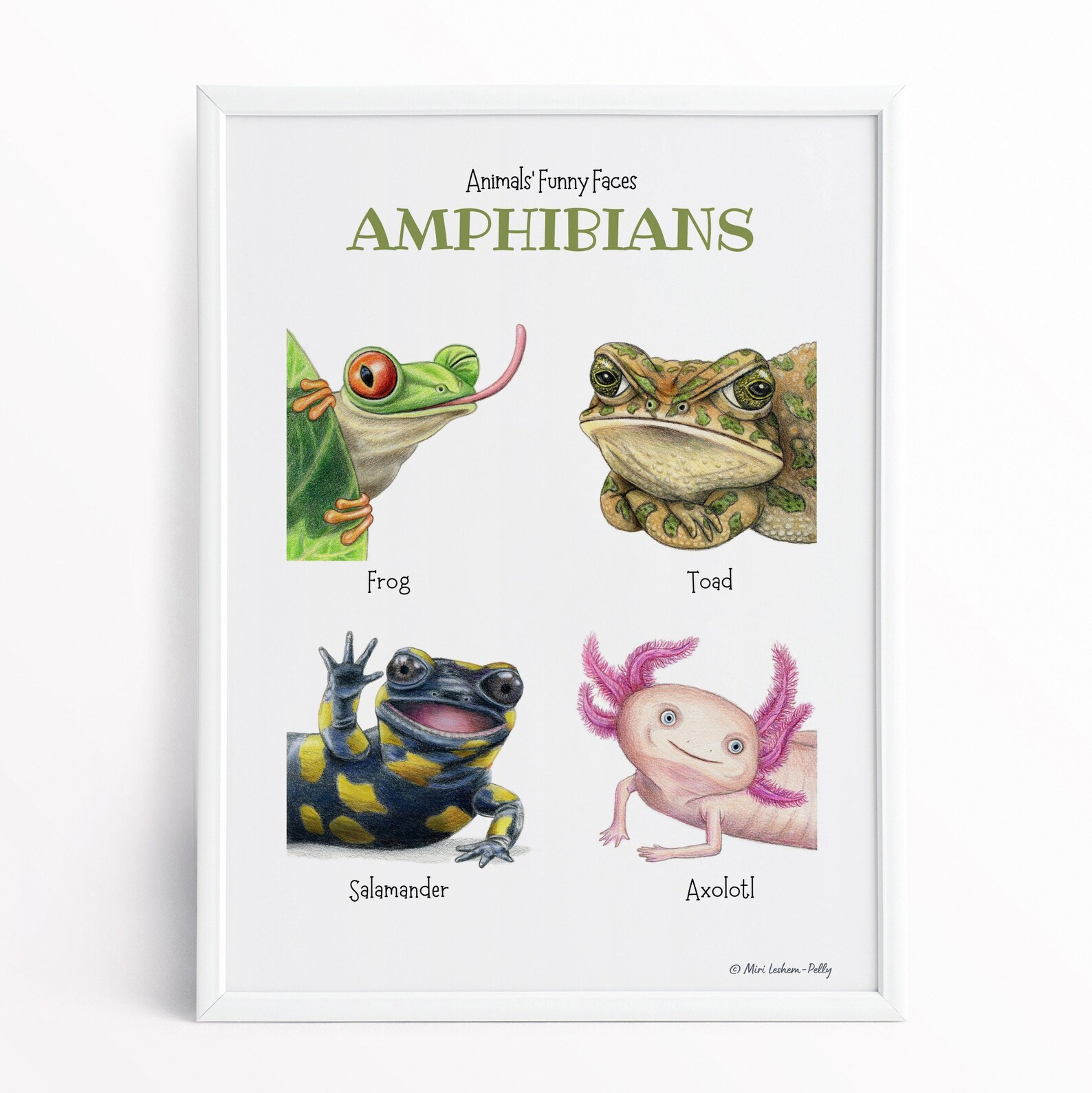 Animal Classification Prints, Biology Poster Set, Science Classroom ...
