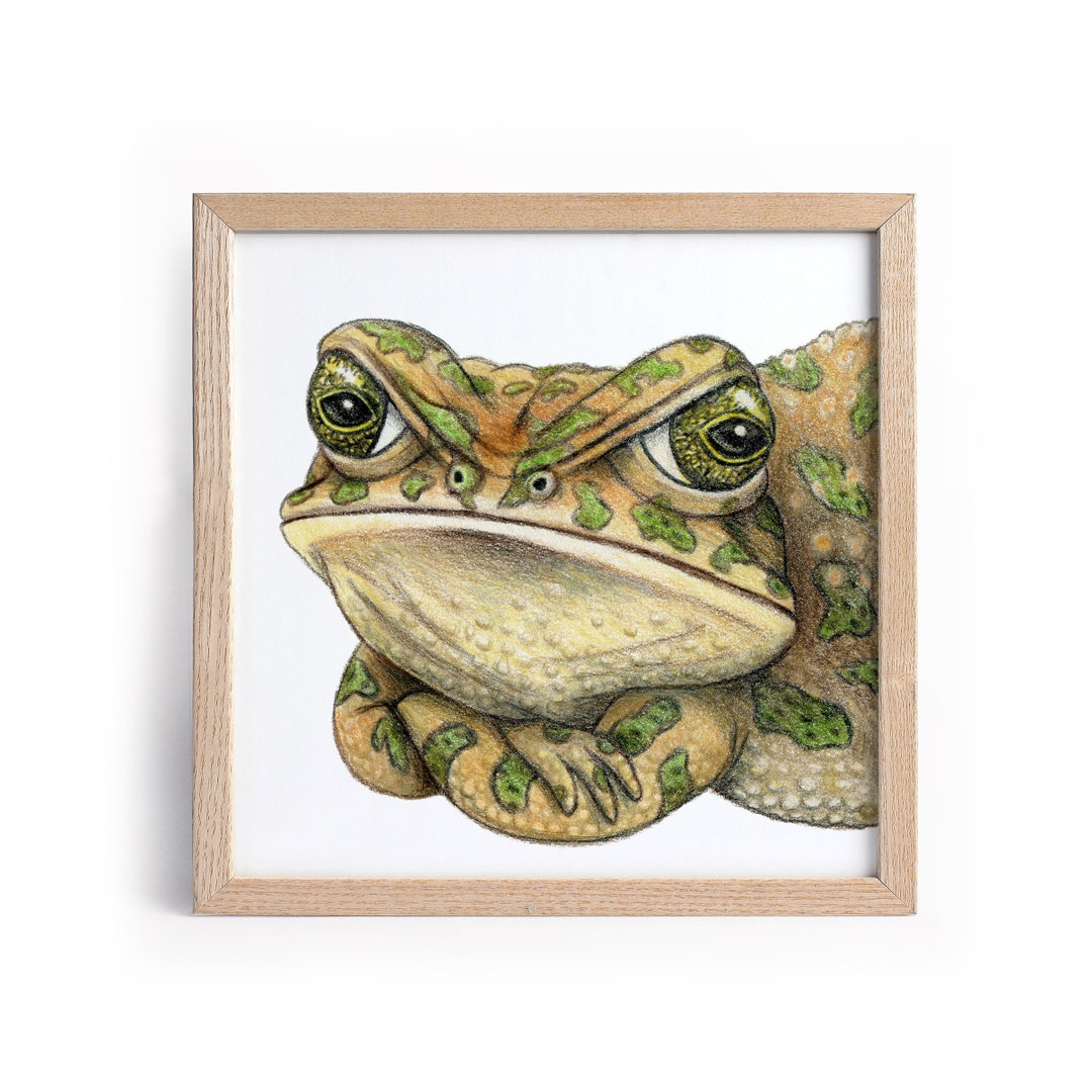 Printable Toad Poster | Woodland Nursery Decor | Funny Toad Print for ...