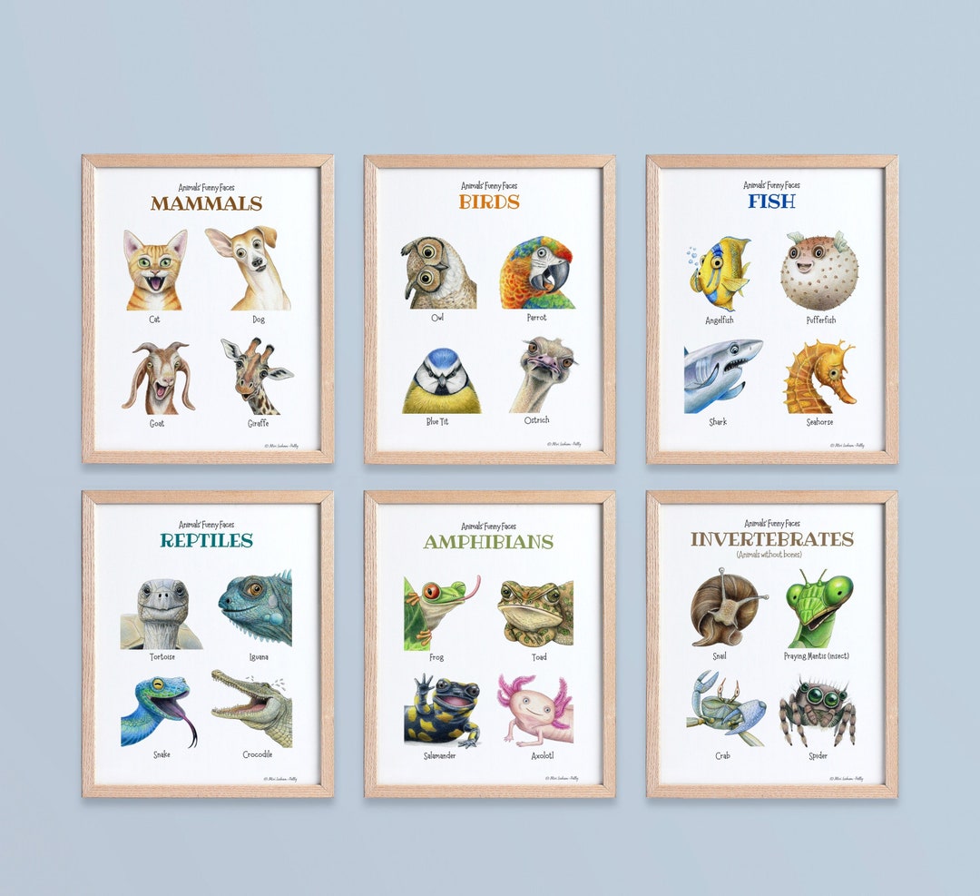 Printable Biology Poster Set, Educational Posters, Science Classroom ...