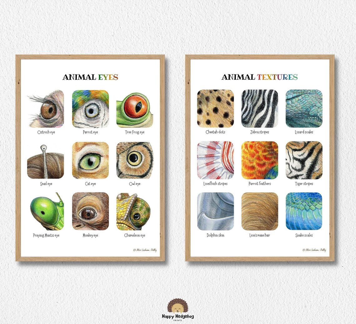 PRINTABLE Educational Posters, Science Classroom Decor Bundle, Animal ...