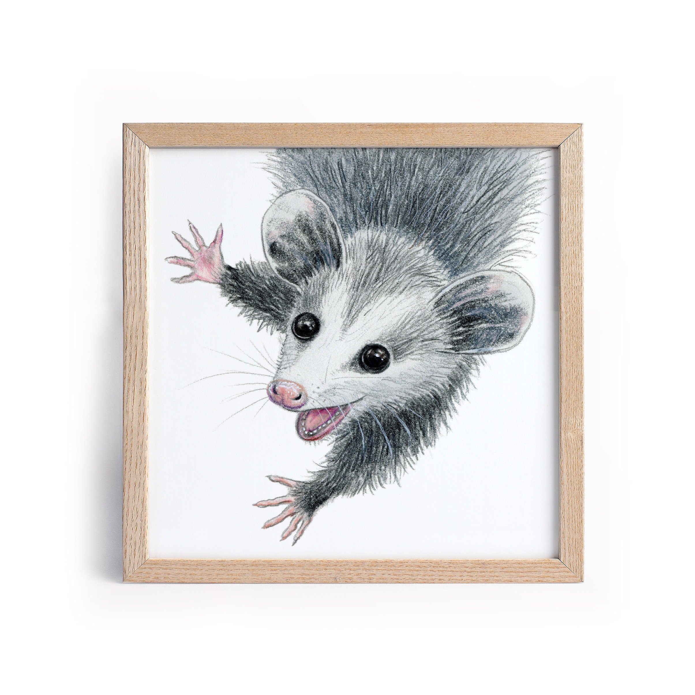 Printable Opossum Poster | Woodland Nursery Decor | Opossum Print for ...