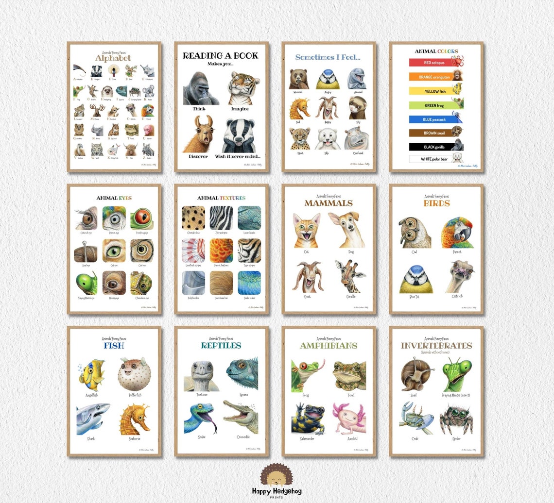 PRINTABLE Educational Posters, Science Classroom Decor Bundle, Animal ...