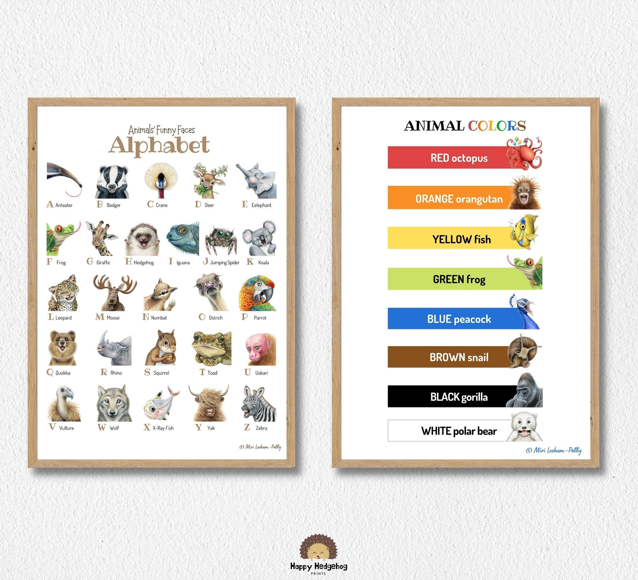 PRINTABLE Educational Posters, Science Classroom Decor Bundle, Animal ...