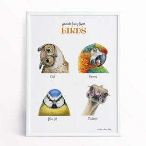 Animal Classification Prints, Biology Poster Set, Science Classroom ...