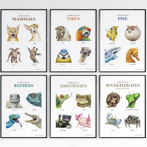 Animal Classification Prints, Biology Poster Set, Science Classroom ...