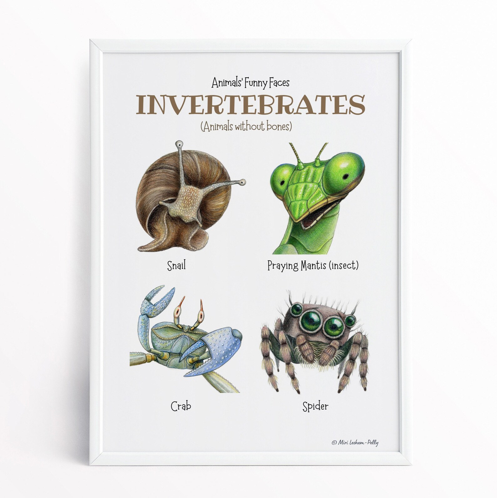 Animal Classification Prints, Biology Poster Set, Science Classroom ...