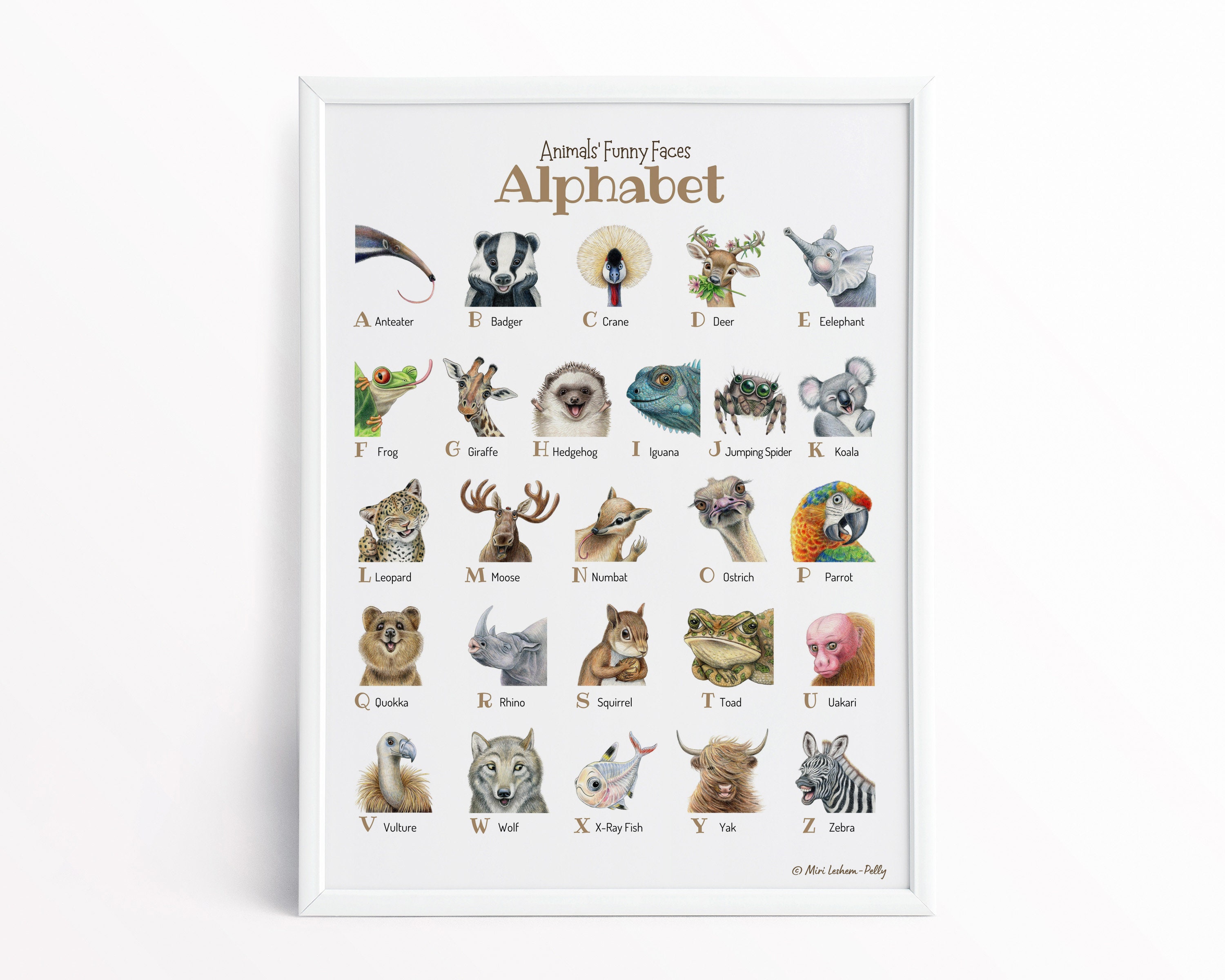 PRINTABLE Educational Posters, Science Classroom Decor Bundle, Animal ...