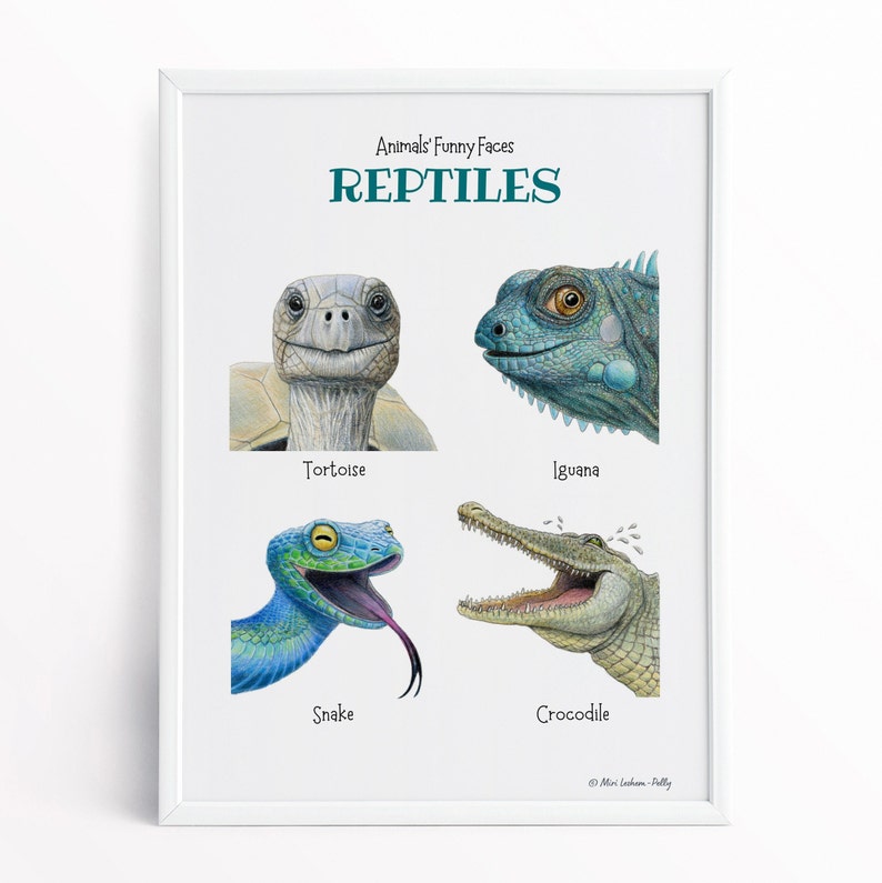 Animal Classification Prints, Biology Poster Set, Science Classroom ...