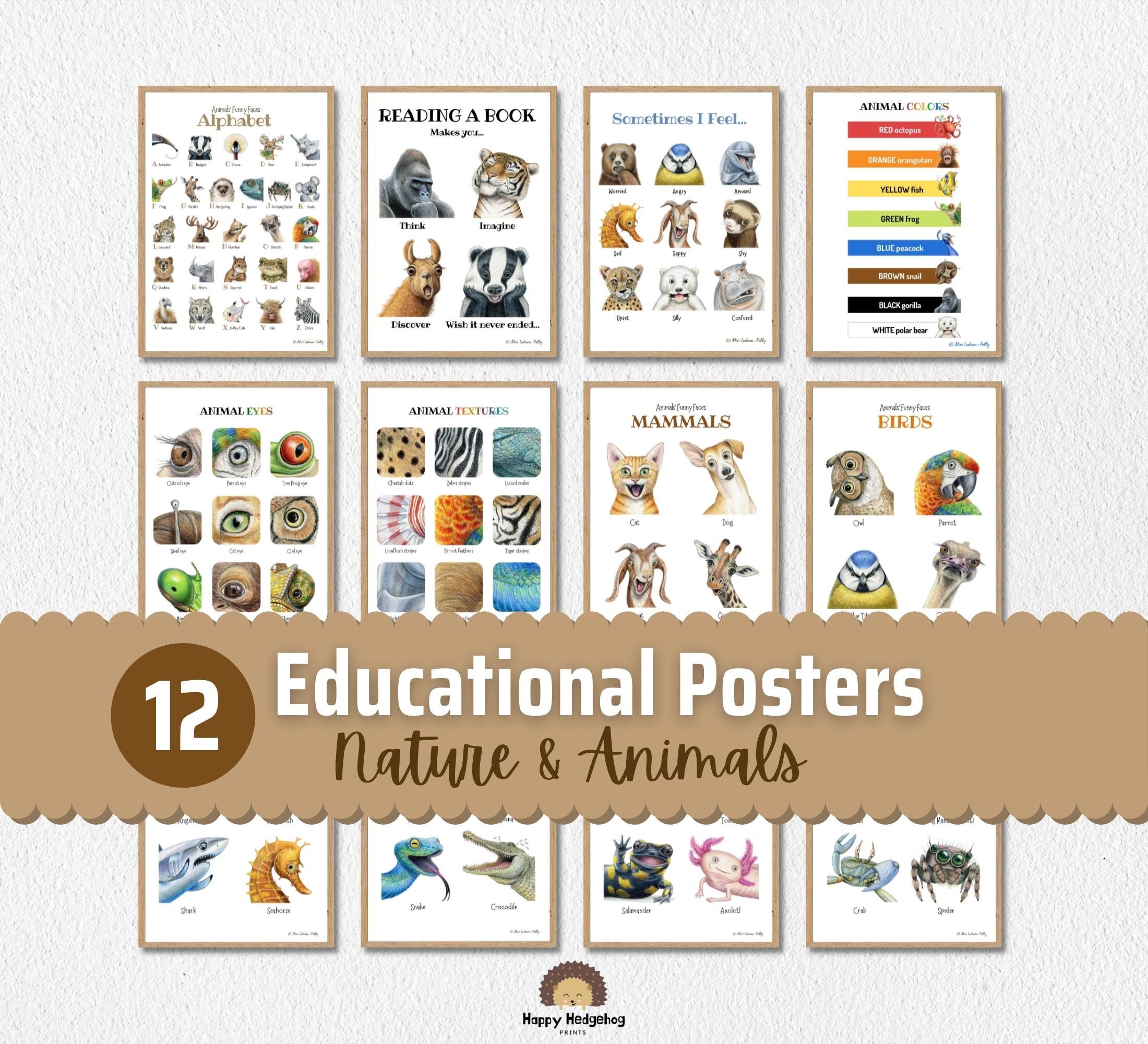 PRINTABLE Educational Posters, Science Classroom Decor Bundle, Animal ...