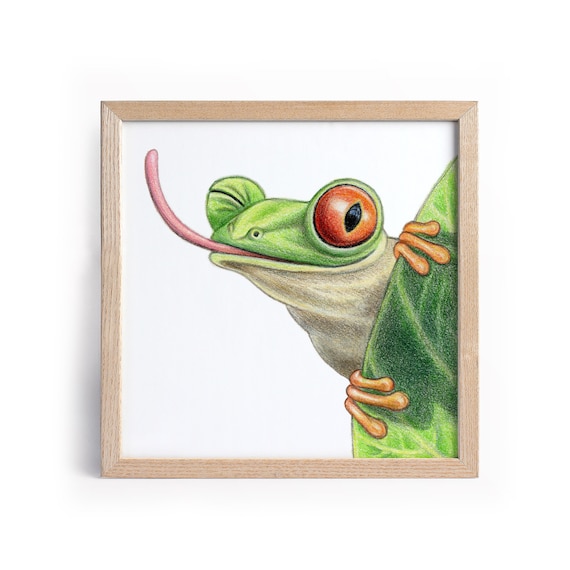 Cute Tree Frog Drawing