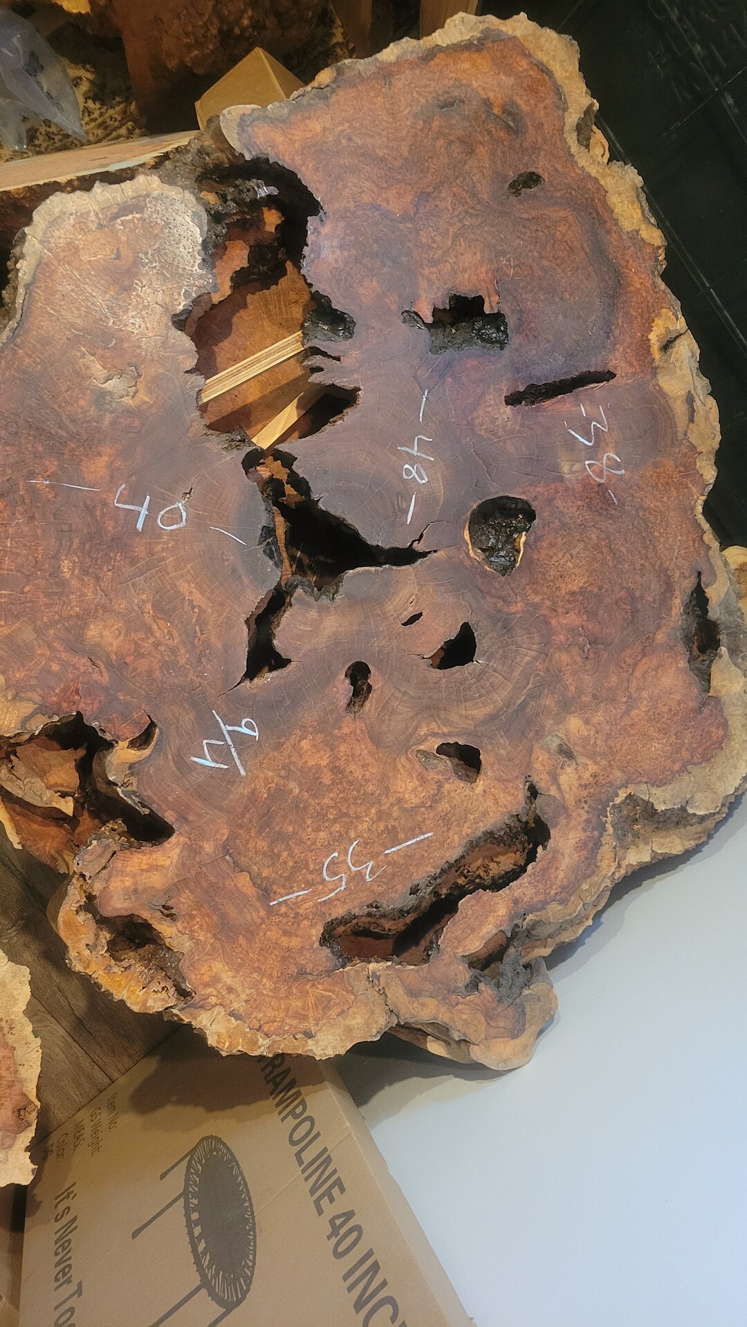 Large Amboyna Burl Cookie - Etsy