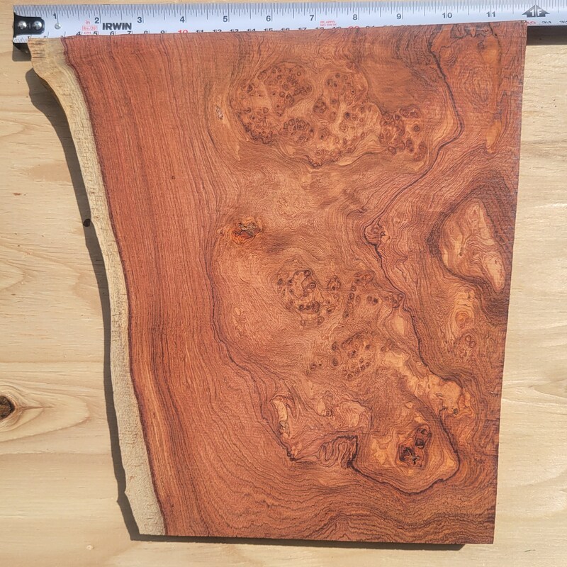 Burl - Etsy