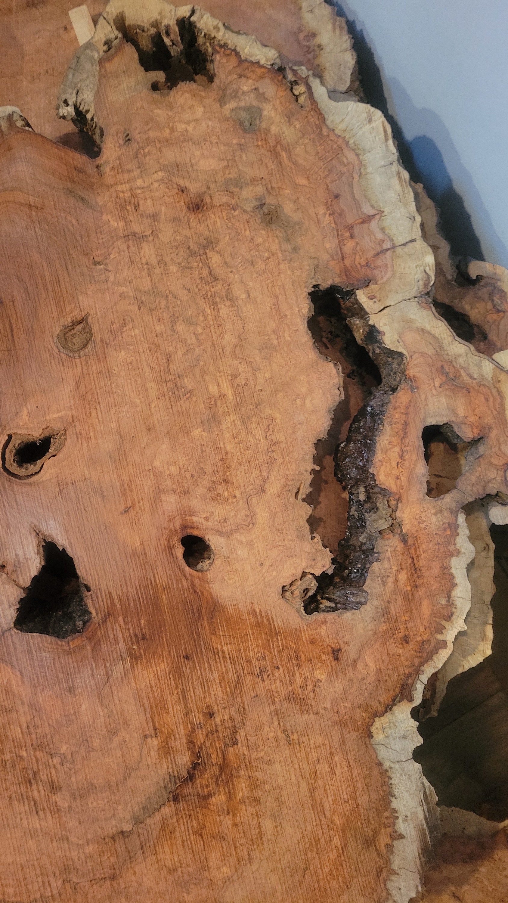 Large Amboyna Burl Cookie - Etsy