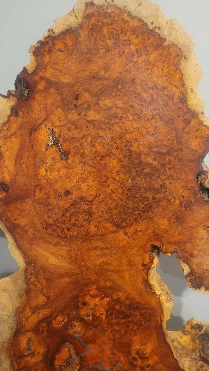 Amboyna Burl Slab - Etsy