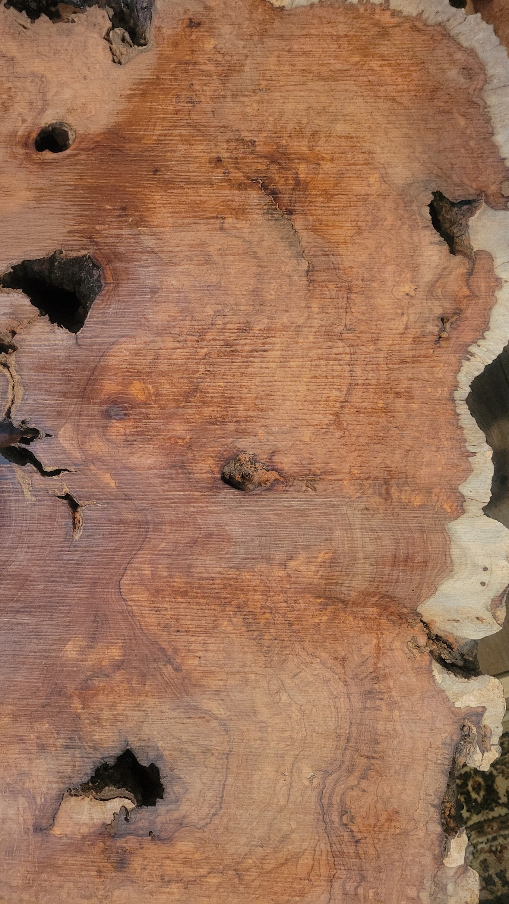 Large Amboyna Burl Cookie - Etsy