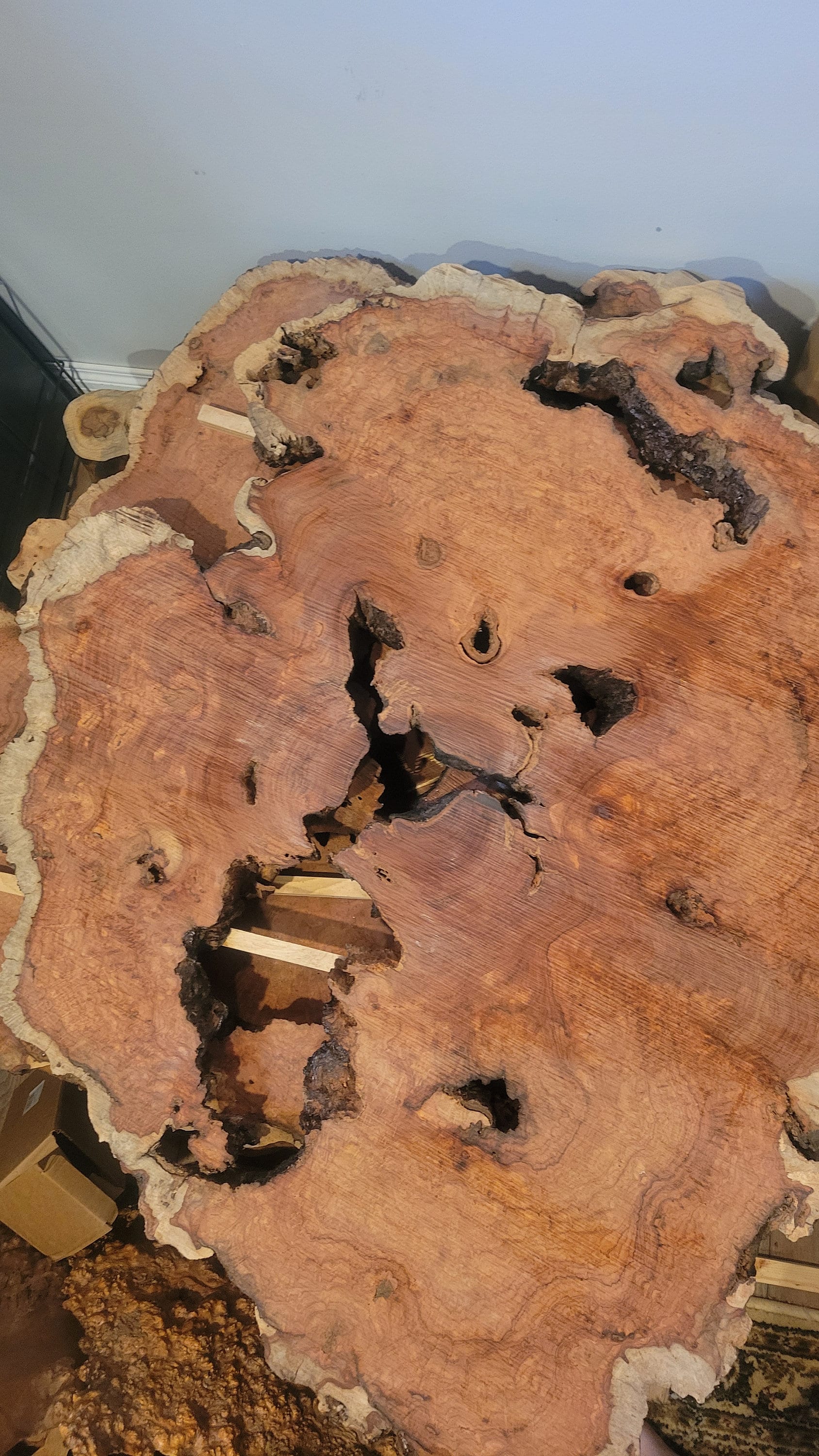 Large Amboyna Burl Cookie - Etsy