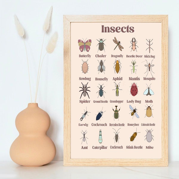 Insect Chart - Etsy
