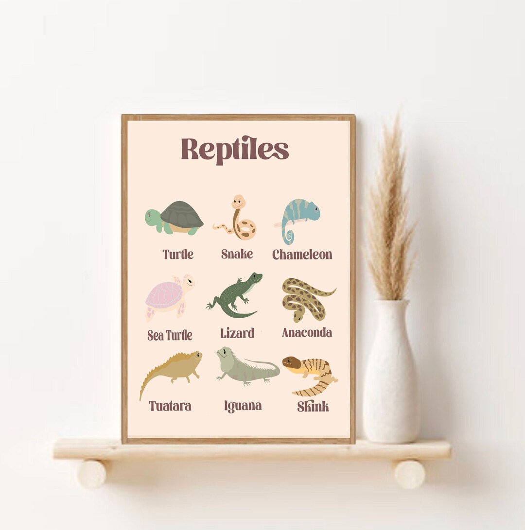 Montessori Inspired Educational Poster for Playroom, Boho Reptile Chart ...