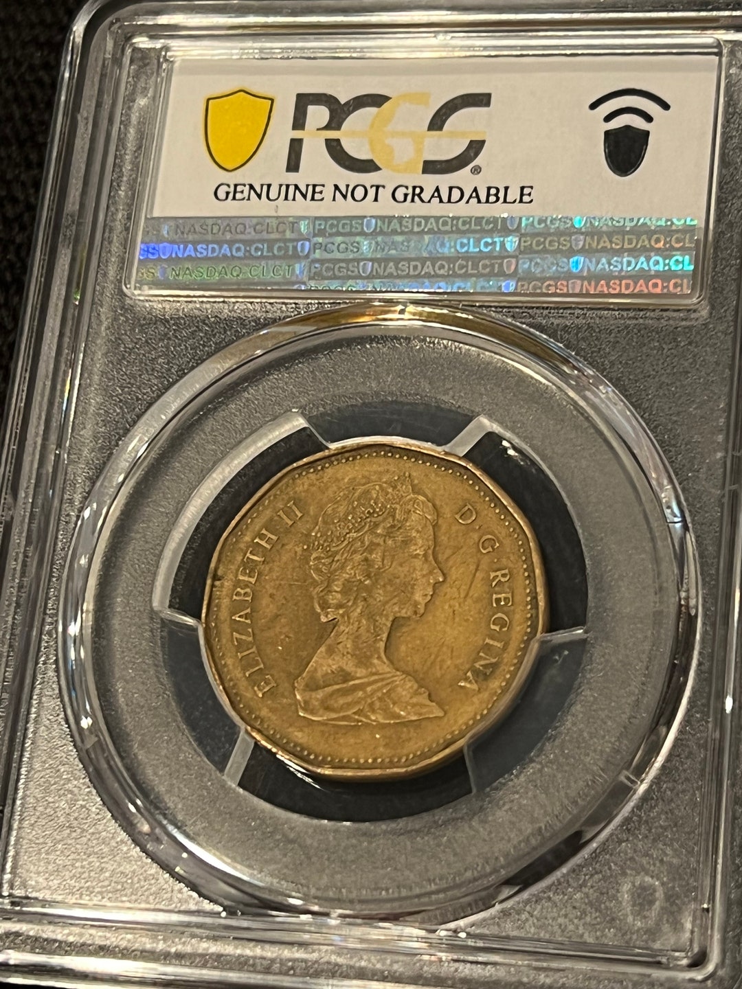 RARE 1988 1 Dollar Canada Loon COIN - Etsy